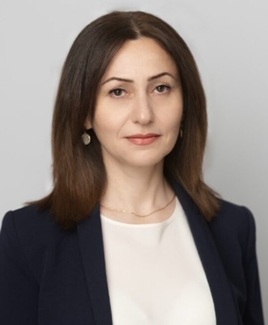 Our Team | Atoyan Law