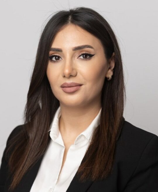 Our Team | Atoyan Law