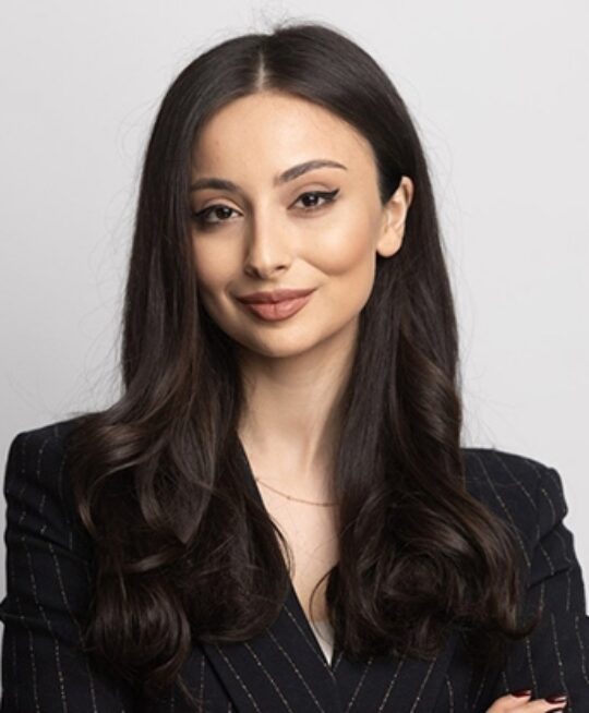 Our Team | Atoyan Law